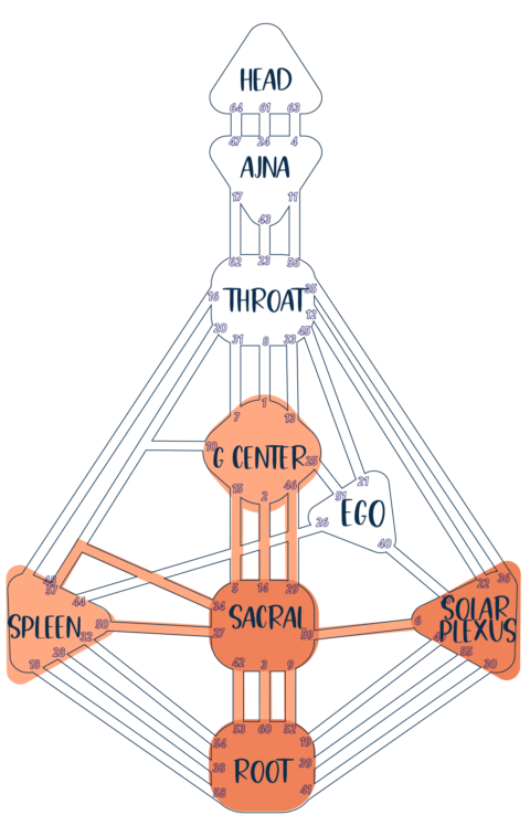 The Five Types in Human Design - Beginner’s Guide - Holistic Human Design